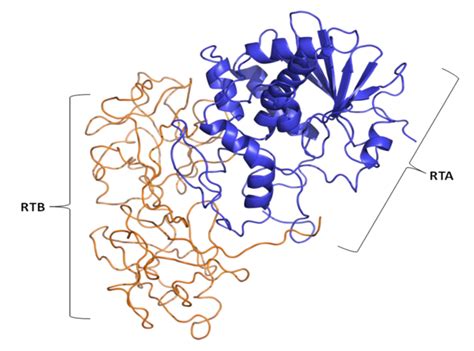 Toxins Special Issue Enterotoxins