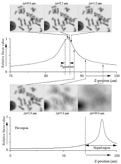 2 Regions In A Focus Functions Near Flat Sloped And Quadratic Download Scientific Diagram