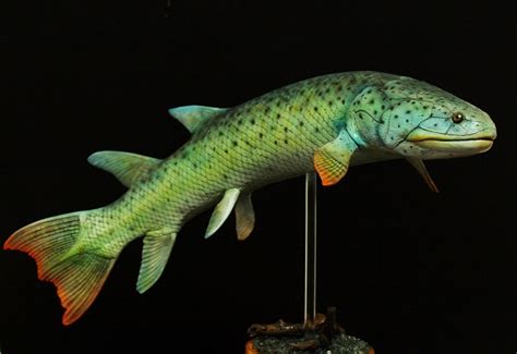 平田 隆行 「ユーステノプテロン」 Tokugawa Fujimori 古生物模型展示室