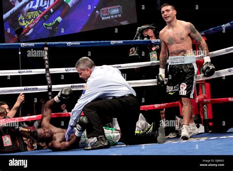 Lucas Matthysse And Olusegun Ajose Wbc Championship Fight Of Lucas