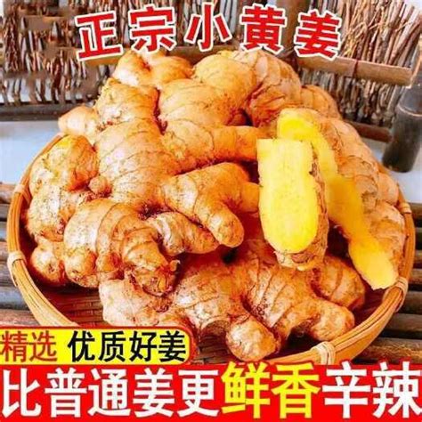 小黄姜和普通生姜的区别有哪些？为什么小黄姜要贵？ 惠农网