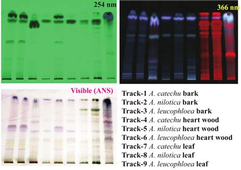 Tlc Profiles Of Chloroform Extracts Of Bark Heartwood And Leaf Of Download Scientific Diagram