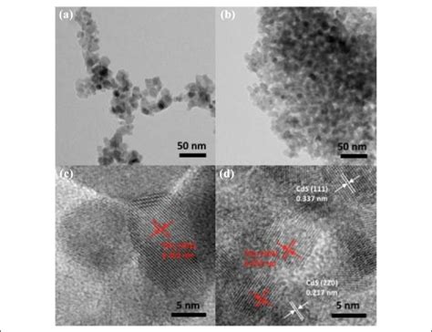 Tem Images And The Lattice Fringes Of A C Pristine Tio 2 And B D Download Scientific