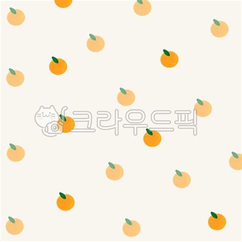 감귤 귤 패턴 배경 심플 사진이미지일러스트캘리그라피 유나니니작가