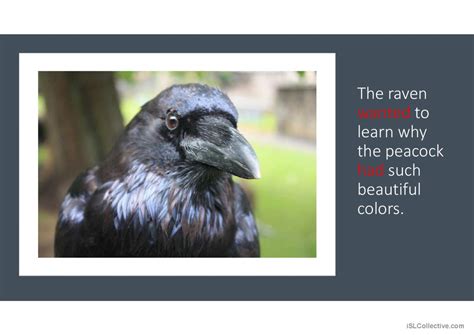 The Raven And The Peacock A Buddhis English Esl Powerpoints