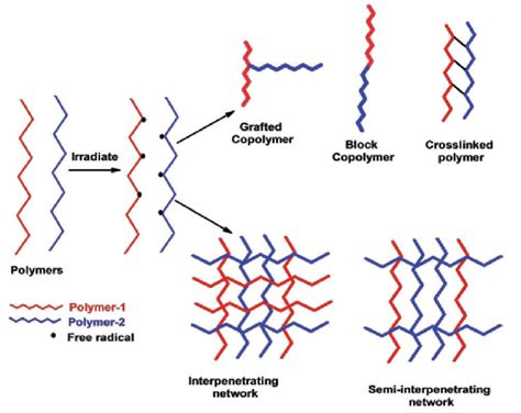 Possible Copolymer Structure Generated On Irradiation Of Two Polymer Download Scientific