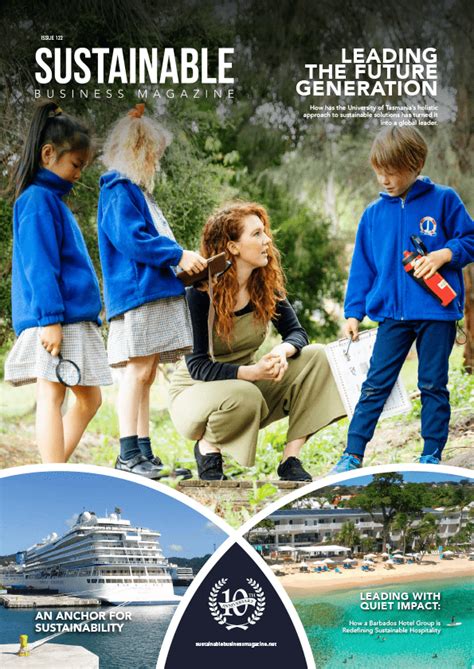 Female Bald Eagle Identification And Facts About Bald Eagles