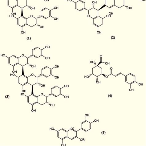 Chemical Structures Of Polyphenolic Compounds From Cultivated Download Scientific Diagram