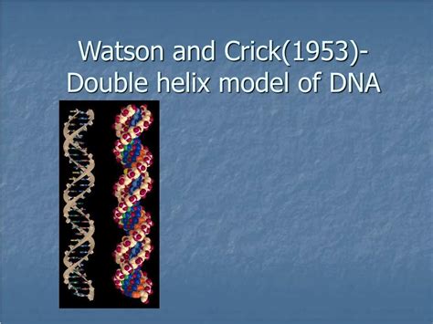 Ppt Watson And Crick 1953 Double Helix Model Of Dna Powerpoint