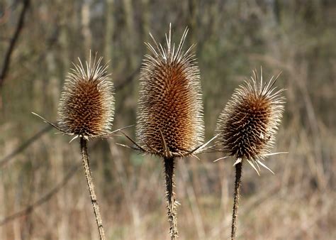 400000 Free Idle Background And Background Images Pixabay