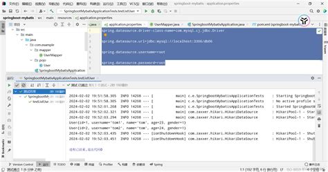 Springboot并mybatis入门启动springboot如何启动mybatis的 Csdn博客
