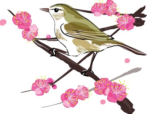 春の印刷用イラスト素材春梅に鶯ダウンロード