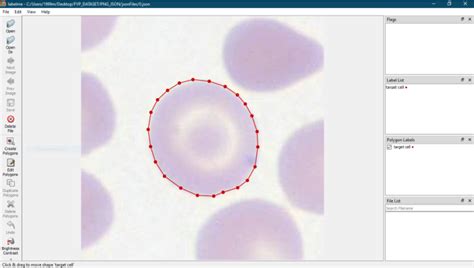 The New Ai Based Framework Result Of Polygonal Annotation Of Image Named A Download
