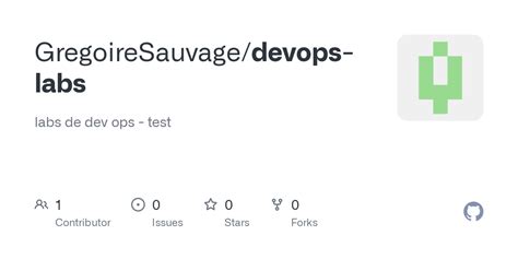 Github Gregoiresauvagedevops Labs Labs De Dev Ops Test