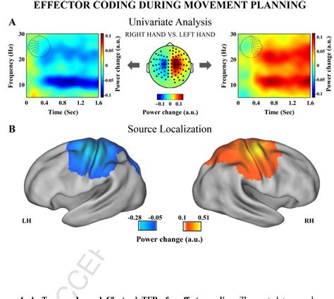 Figure 4 From Beta Band Modulations Underlie Action Representations For