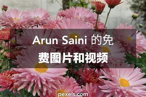 Arun Saini 摄影
