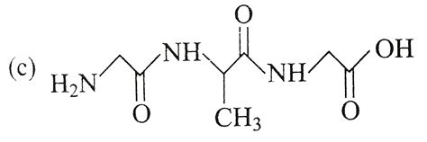 Tripeptide Structure