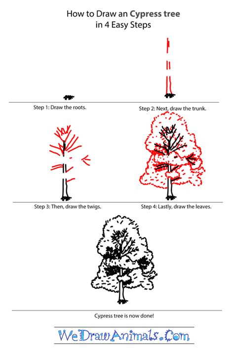 How To Draw A Cypress Tree