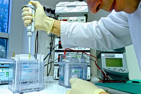 Policing Gender Boundaries Testosterone Sex Testing And Human Rights Cyclingnews