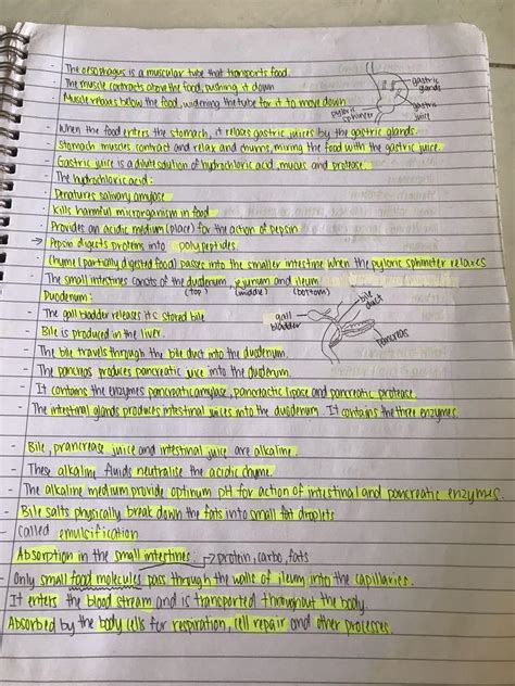 Secondary School Sec 2 Science Notes Hobbies And Toys Books And Magazines