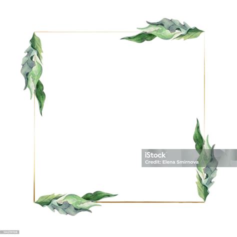 손으로 그린 섬세한 분홍색 모란 꽃 새싹 및 잎이 있는 수채화 사각형 프레임 배열 흰색 배경에 격리 초대장 결혼식 사랑 또는