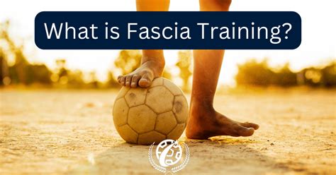 How To Train Fascia Soccer At Trudi Abbas Blog