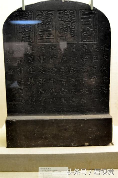 山西博物院藏 大同司马金龙墓出土的北魏时期动物陶器 形态生动 每日头条