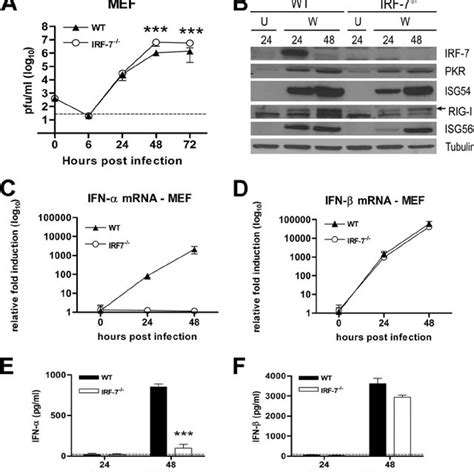 Pdf Interferon Regulatory Factor Irf 7 Induces The Antiviral Alpha Interferon Response And