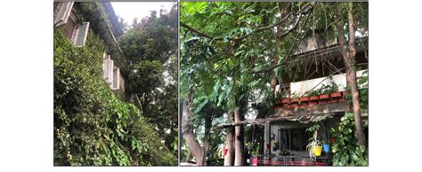 Bhuvaneswaran Mohan On Linkedin Our Carbon Negative Home