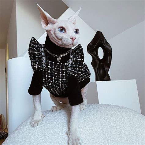 Adorable Cat Dress Sphynx Cat Clothes Hairless Cat Skirt Devon Etsy