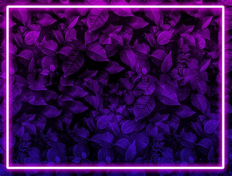 Solar Flood Lights The Best Solar Exterior Lights For Home Hardoll