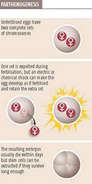 New Illuminati Clone Alone Who Needs Sex