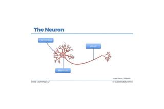 Artificial Neural Networks Pptx