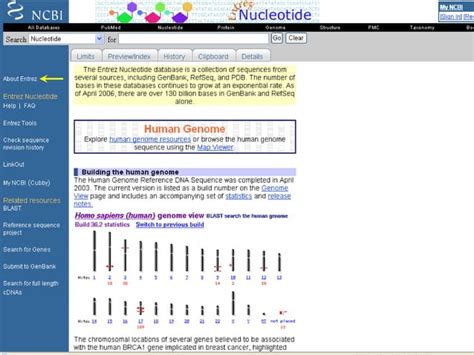 Data Retrieval Systems Pdf