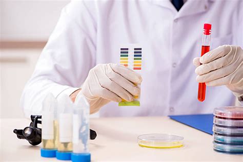 Lab Chemist Testing Ph Levels Using Strips Petri Test Acidity Photo Background And Picture For