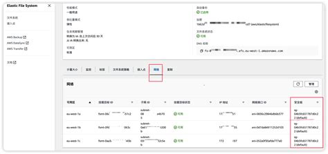 aws——02篇（aws之服务存储efs在amazon ec2上的挂载——针对ec2进行托管文件存储） aws efs csdn博客