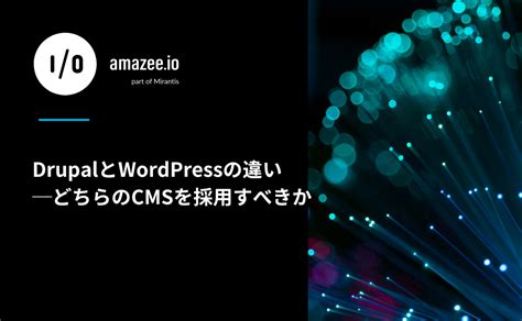 Drupalとwordpressの違い─どちらのcmsを採用すべきか アメージー 日本公式サイト