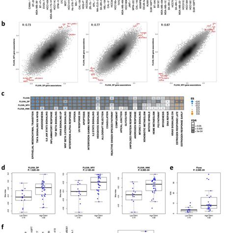 Compound Combination Synergy Analysis Identified Basal E Cadherin To Download Scientific