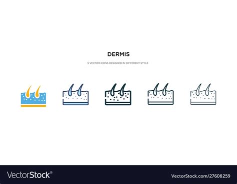 Dermis Icon In Different Style Two Colored Vector Image