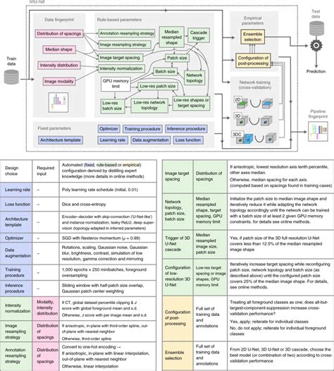 Nnu Net A Self Configuring Method For Deep Learning Based Biomedical Image Segmentation Nmmitools