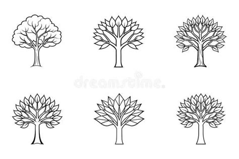 Collection Of Disjoint Trees Acyclic Graph Structures Explained Stock