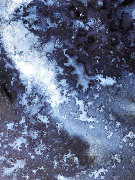 Seqcode Towards A Unifying System For The Naming Of Cultured And