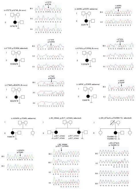Mutations In Tubb8 Cause A Multiplicity Of Phenotypes In Human Oocytes And Early Embryos Pmc