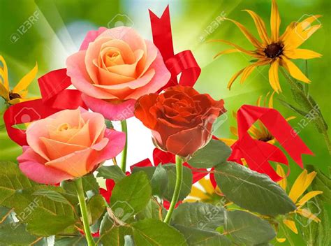 Vackra Blommor Bilder Wallpapers Com