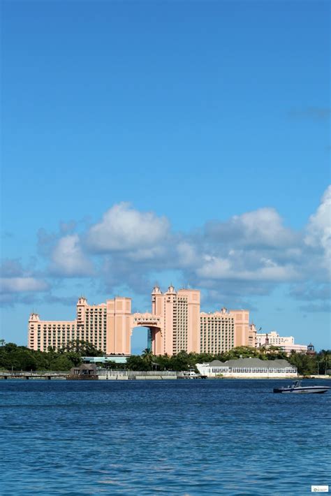 Reef Snorkeling And Sandbar Getaway Port Excursion Coco Cay Caravan
