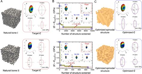 A Natural Bone Design Target And Its Anisotropic Elasticity Download Scientific Diagram
