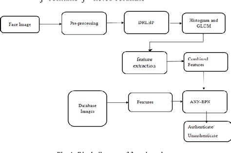 figure 1 from face recognition using drlbp and sift feature extraction semantic scholar