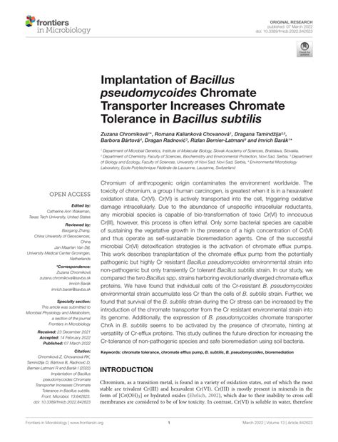 Pdf Implantation Of Bacillus Pseudomycoides Chromate Transporter