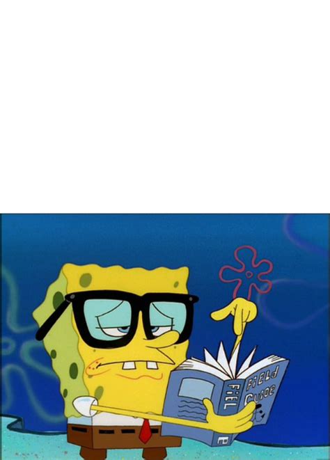 Nerd Paragraph Blank Template Imgflip