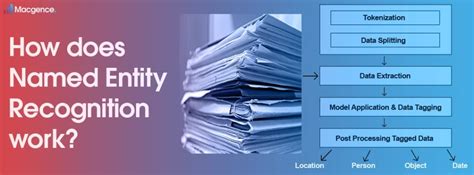 macgence s named entity recognition technologie onthuld